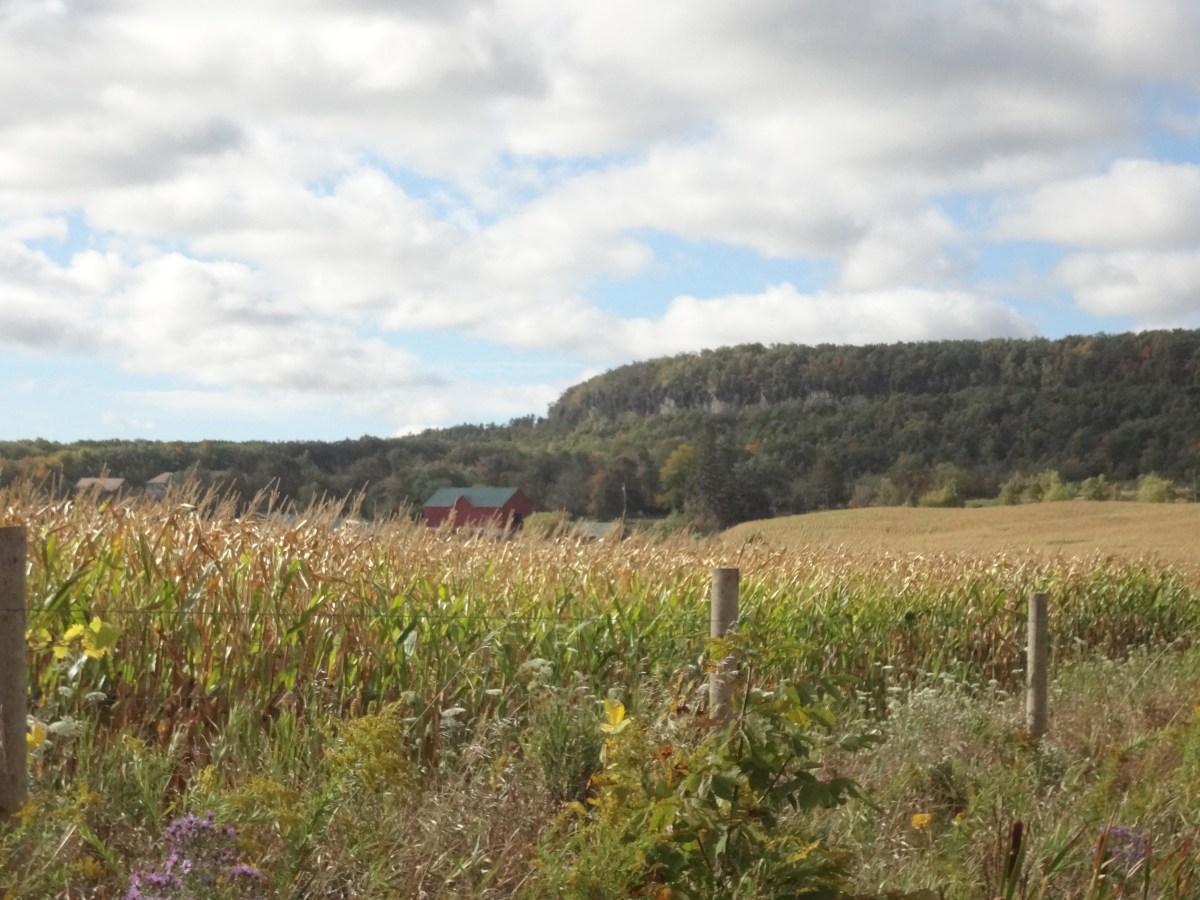 Camp Nemo/ Mount Nemo/ Bruce Trail – Map 10 – Torch Hours