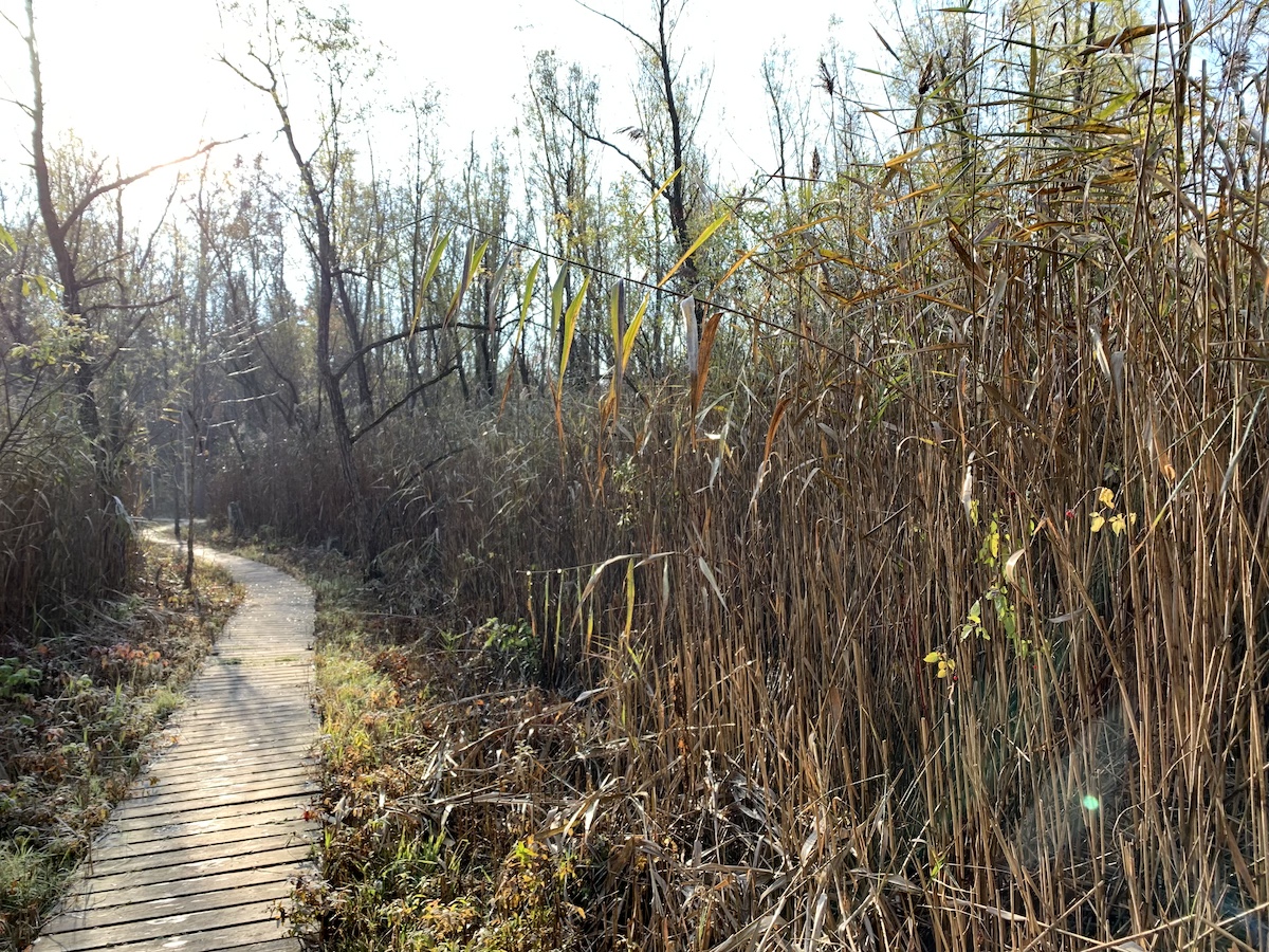 Bruce Trail – Map 10 – Kilbride to Mount Nemo – Torch Hours